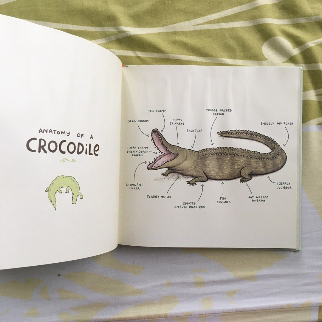 PRELOVED Animal Anatomy by Sophie Corrigan, Hobbies & Toys, Books ...