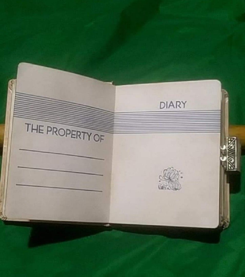 1950's EVERYDAY DIARY GOLD GILDED EDGE PAGES, Hobbies & Toys ...