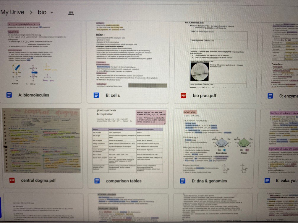 a level h2 bio notes softcopy, Hobbies & Toys, Books & Magazines ...