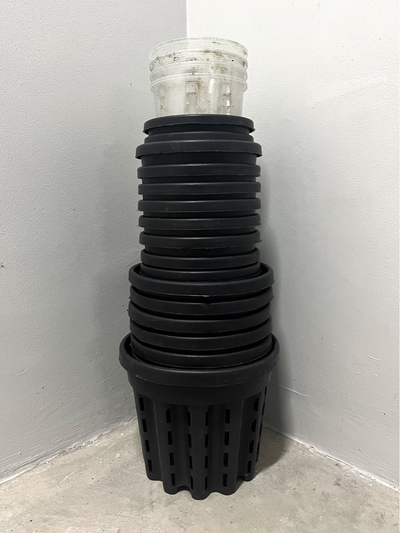 Air root pruning pot gro pro anti spiral anthurium plant philodendron ...