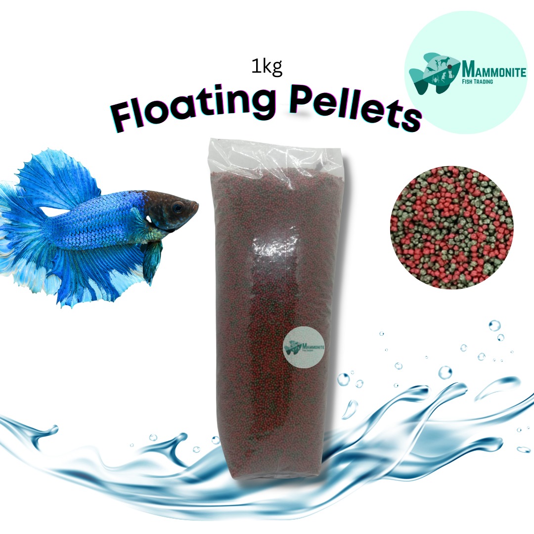 Aquarium Fish Food Floating Pellets 1kg Growth Color, Pet Supplies, Pet ...