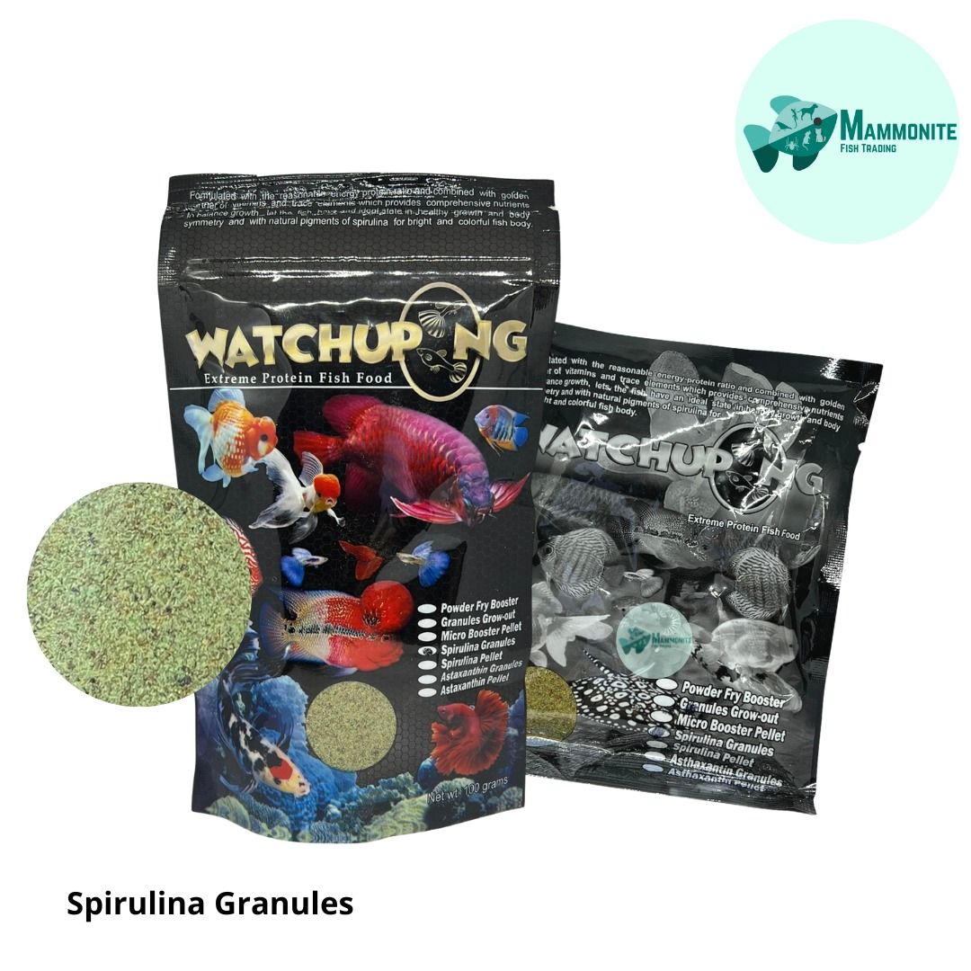 Aquarium Tank Watchupong Fish Food Pellets Spirulina Astaxanthin Granules, Pet Supplies, Pet ...