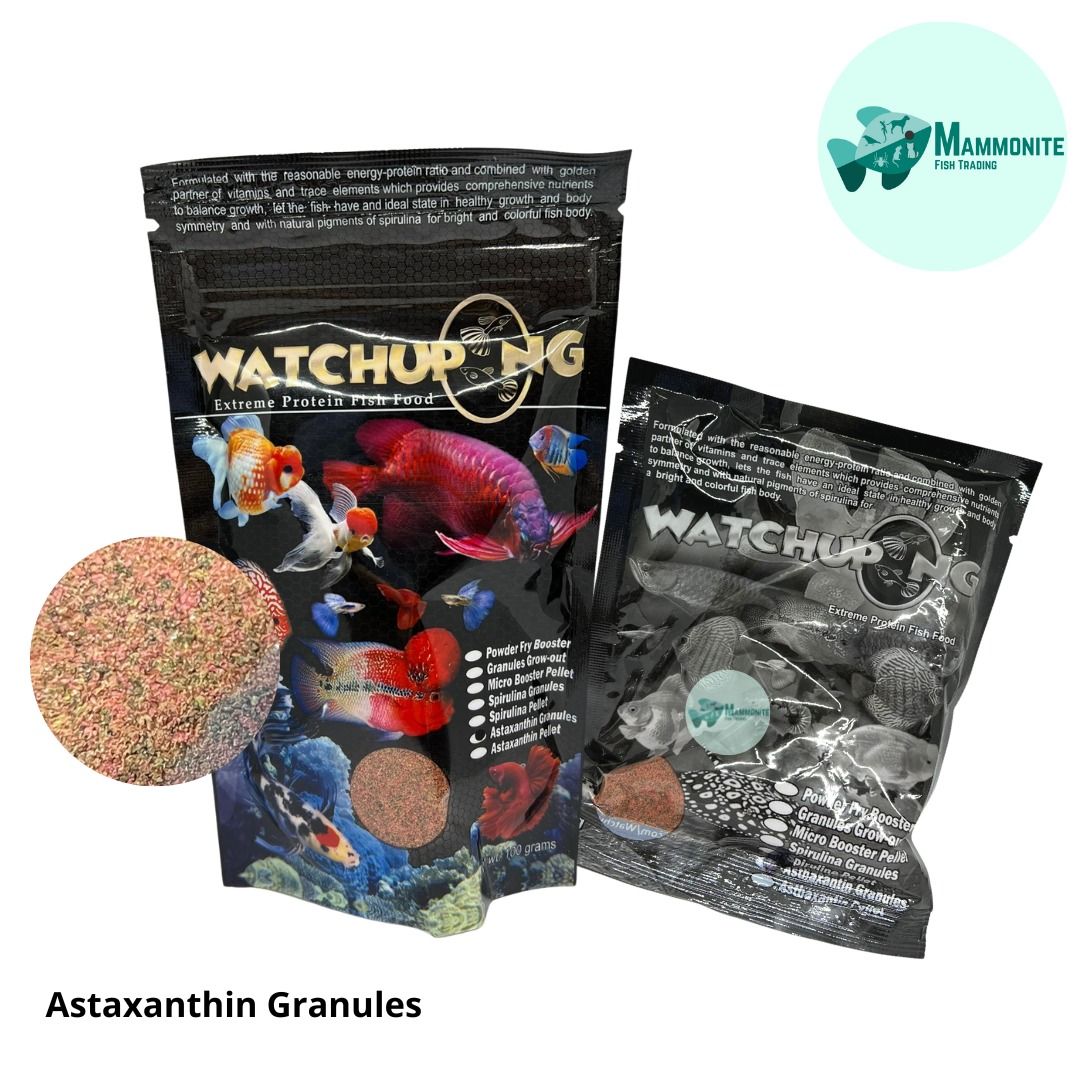 Aquarium Tank Watchupong Fish Food Pellets Spirulina Astaxanthin Granules, Pet Supplies, Pet ...