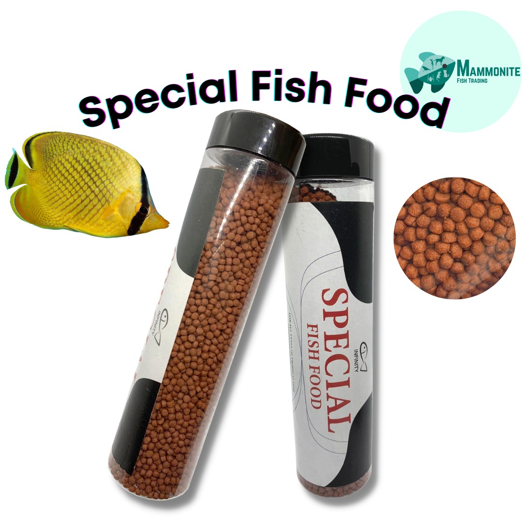 Aquarium Tropical Special Fish Food Pellets 220g 170g, Pet Supplies ...