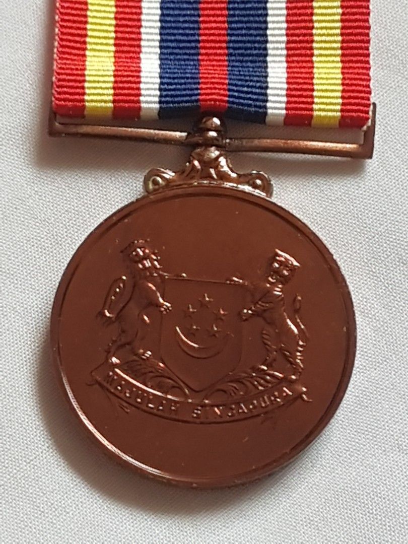 Community Service Award 10 Years Full Size Medal & Collar Pin, Hobbies ...
