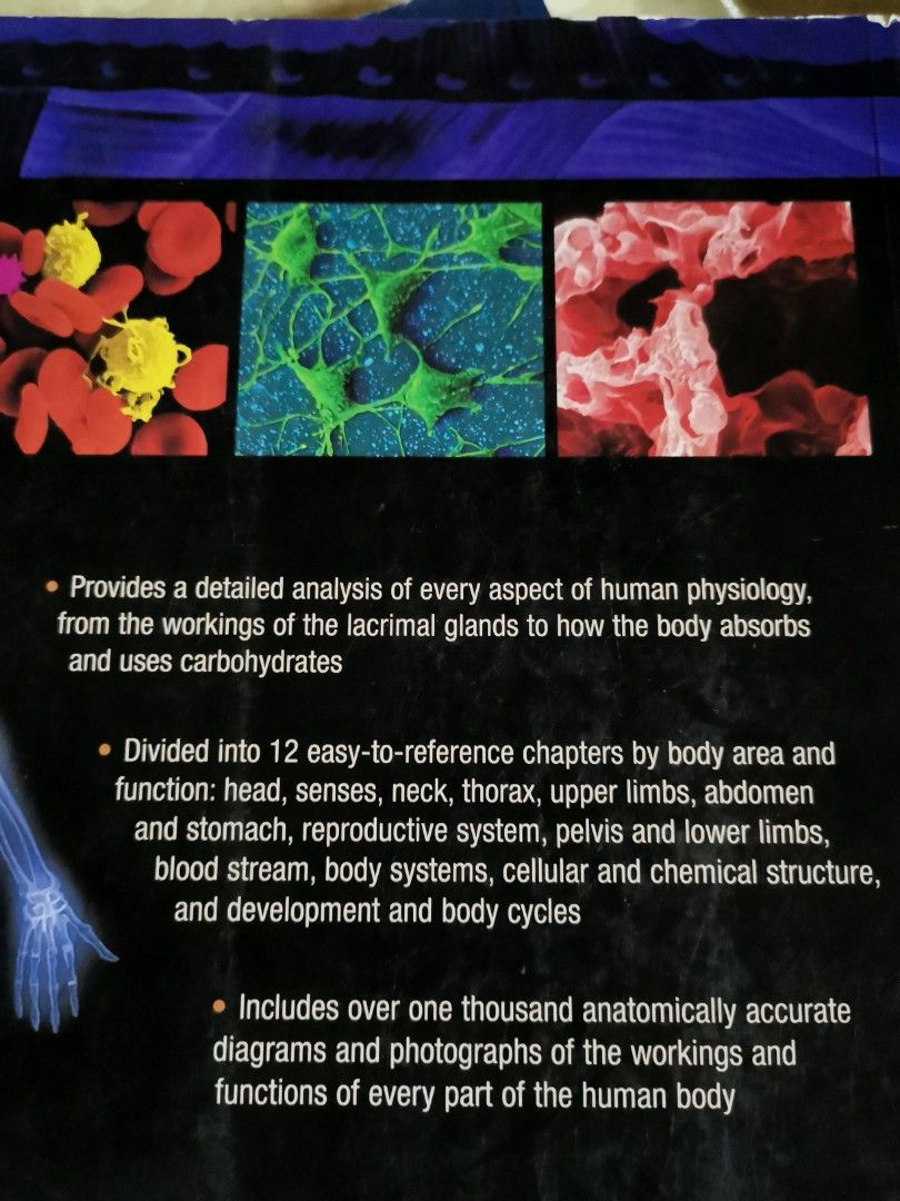 How The Body Works Encyclopedia Of Anatomy Hobbies Toys Books