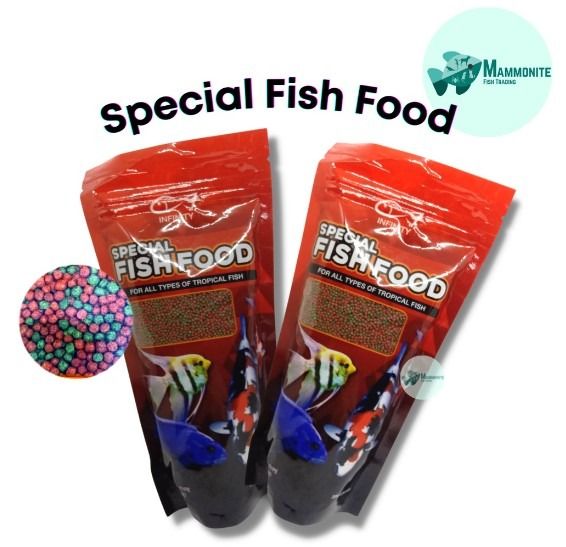 Infinity Special Fish Food 80 Grams For All Types Of Tropical Fish, Pet ...