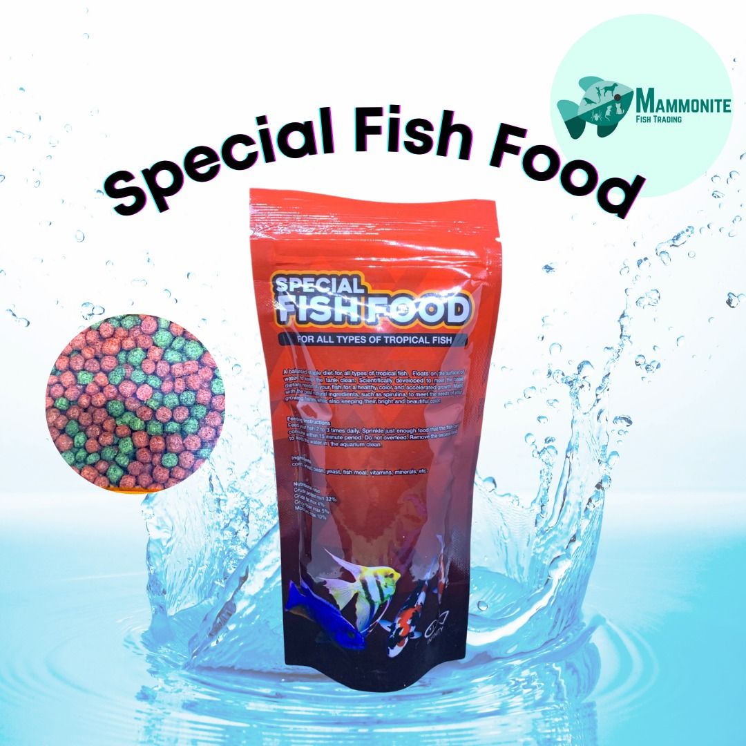 Infinity Special Fish Food 80 Grams For All Types Of Tropical Fish, Pet ...