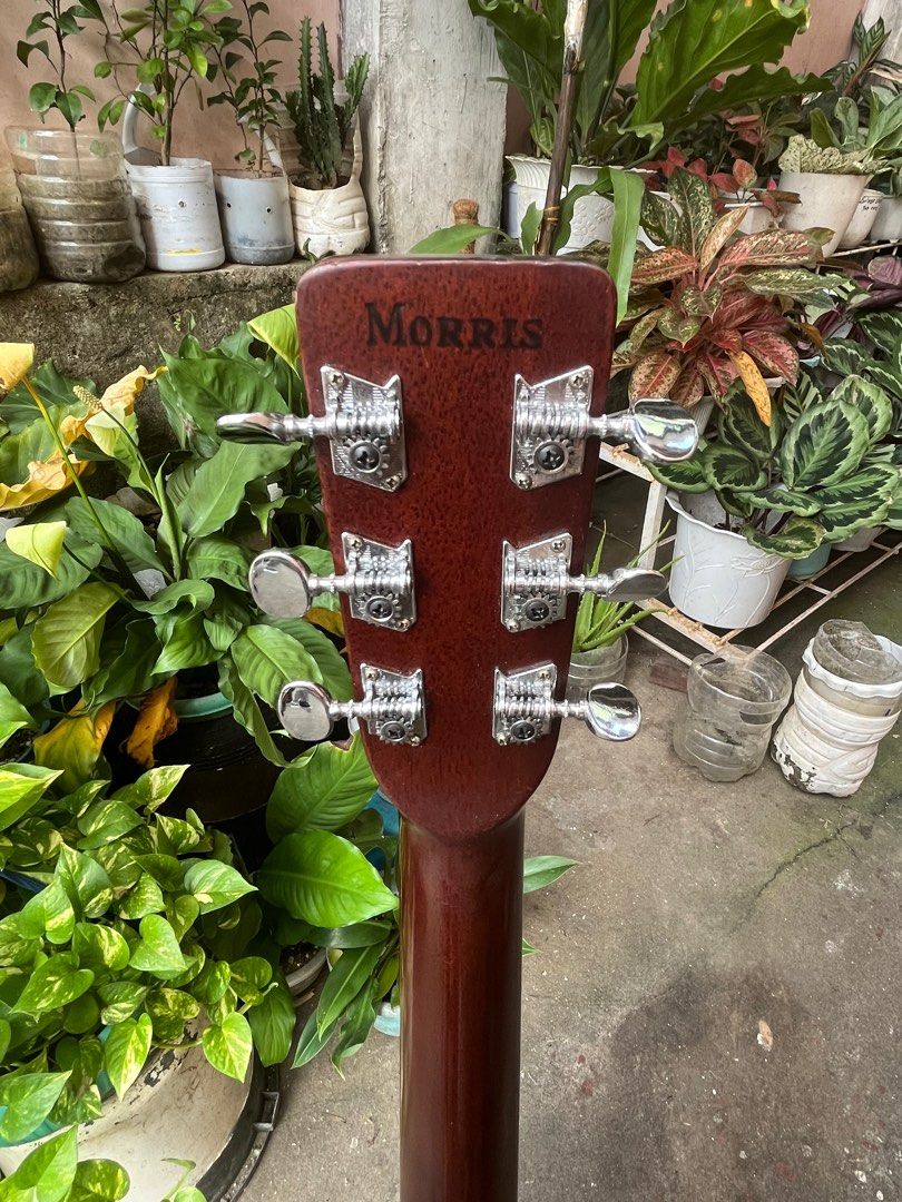 Morris F-10 OM Size 1972 Japan Made Acoustic Guitar can be Ship ...