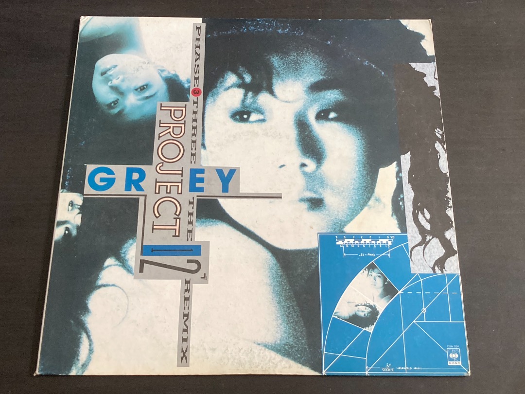 [Pre-owned] Sandy Lam Yi Lian / 林憶蓮 - Project Grey, Phase Three: The 12 ...