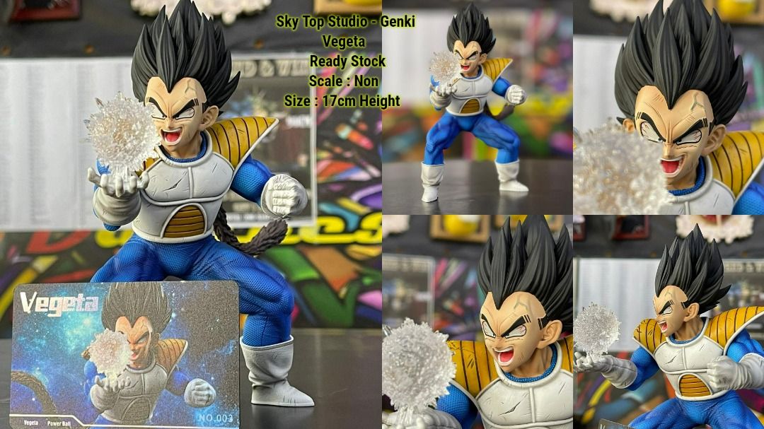 Sky Top Studio - Genki Vegeta, Hobbies & Toys, Toys & Games on Carousell