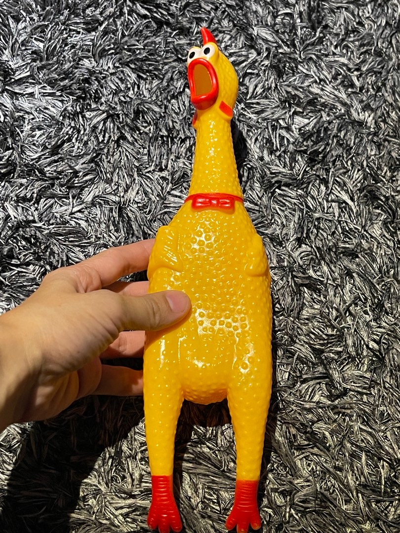Squeaky scared chicken toy, Hobbies & Toys, Toys & Games on Carousell