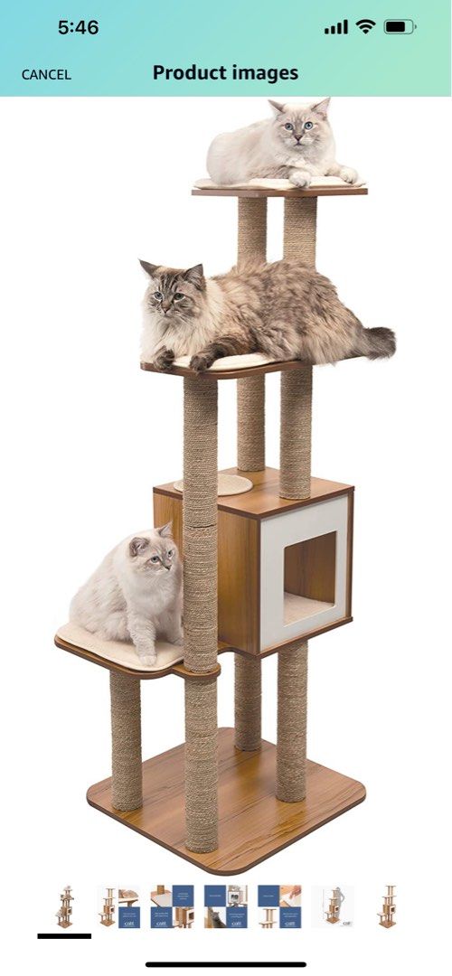 Catit Vesper High Base XL cat tree, Pet Supplies, Homes & Other Pet ...