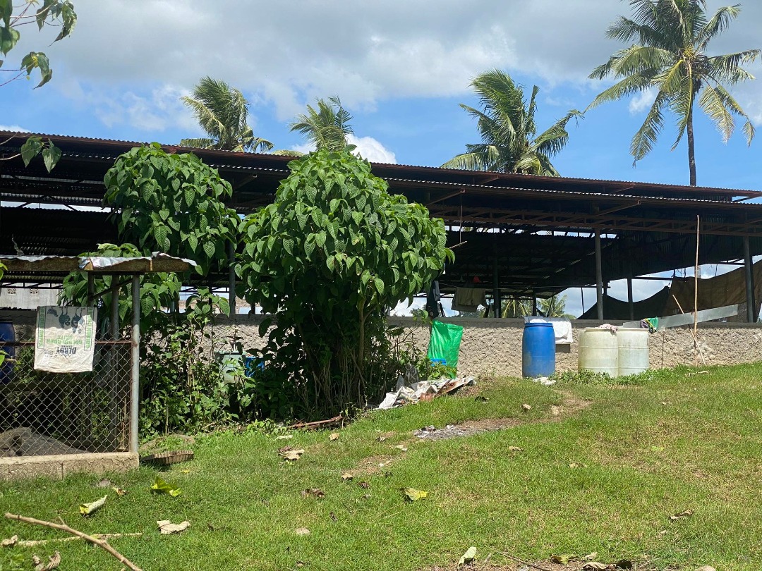 Farm Lot, Property, For Sale, Lot on Carousell