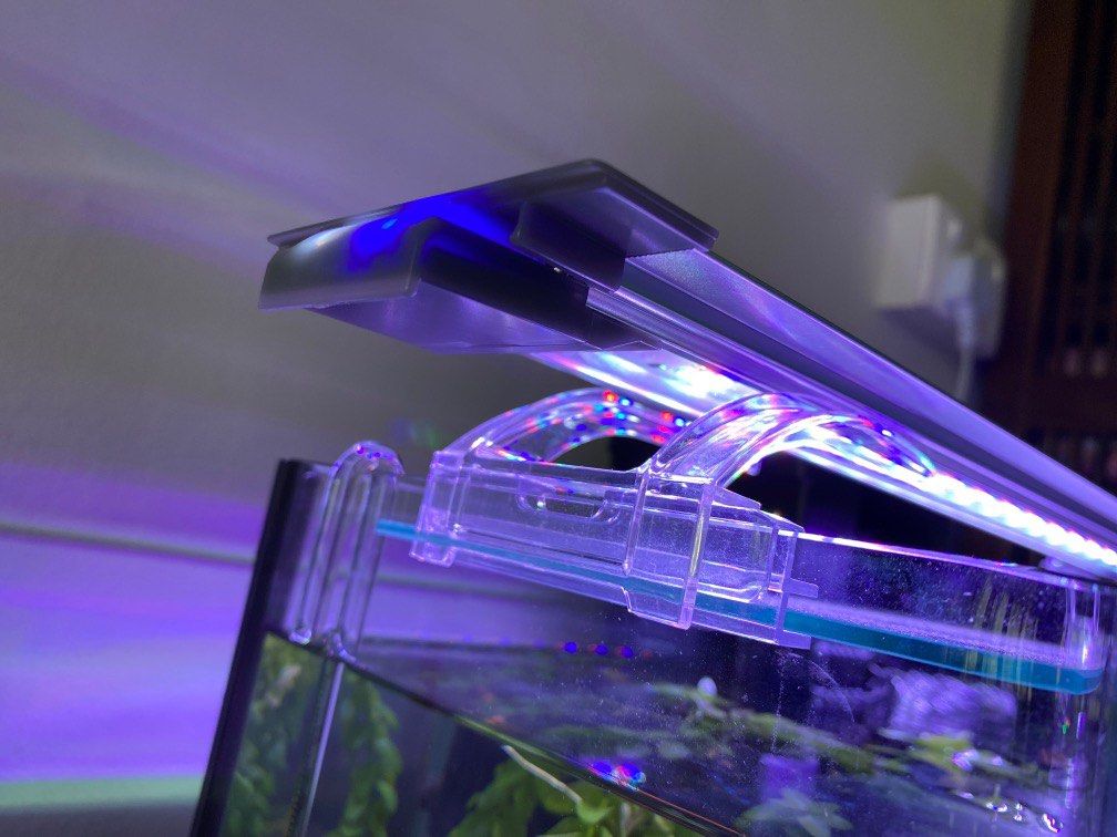 Finnex Planted+ 24/7 HLC Aquarium LED Light, Automated Full Spectrum ...