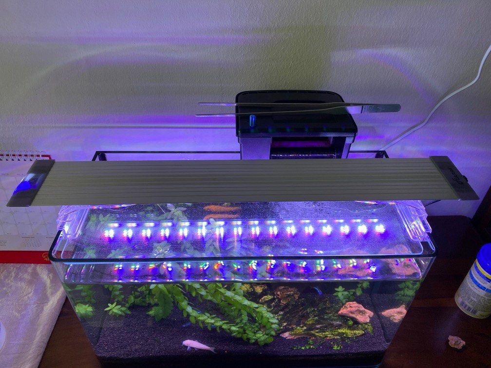 Finnex Planted+ 24/7 HLC Aquarium LED Light, Automated Full Spectrum ...