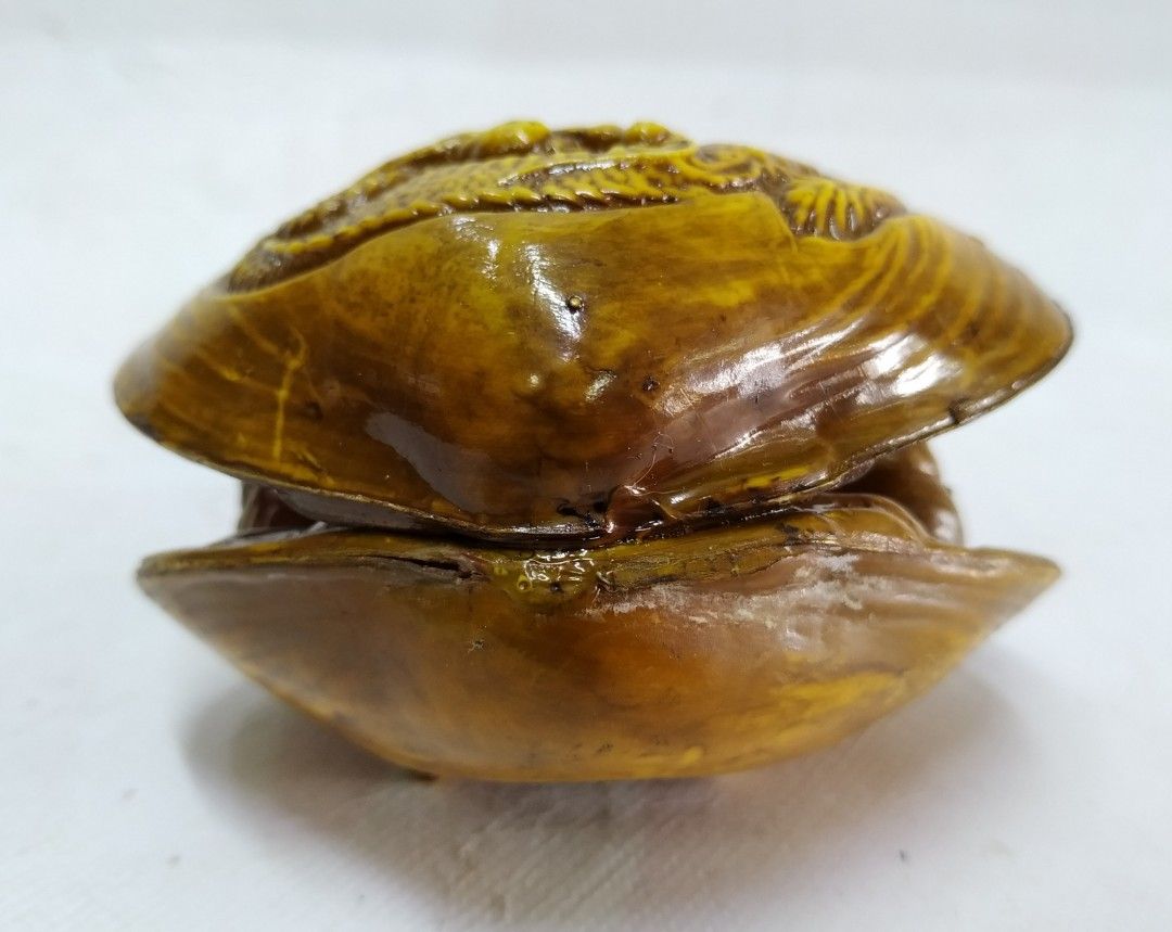 japanese ancient hand carved clam shell, Hobbies & Toys, Collectibles ...