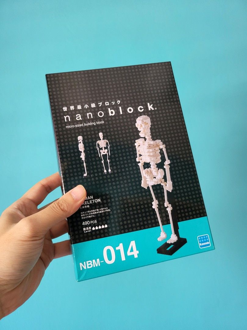 Nanoblock - Human Skeleton, Hobbies & Toys, Toys & Games on Carousell