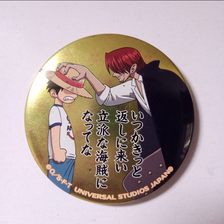 One Piece Pin Badge, Hobbies & Toys, Memorabilia & Collectibles, Fan ...