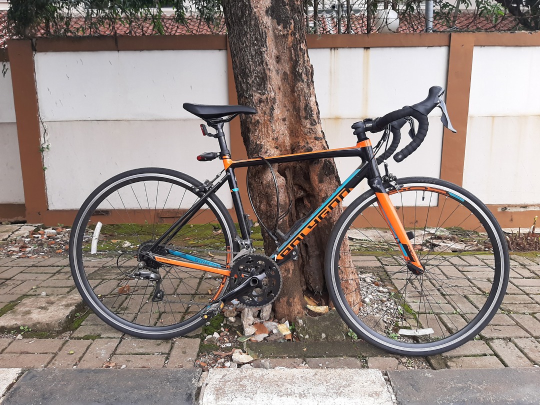 Polygon Strattos S2 - Road Bike (2019), Olah Raga, Sepeda di Carousell