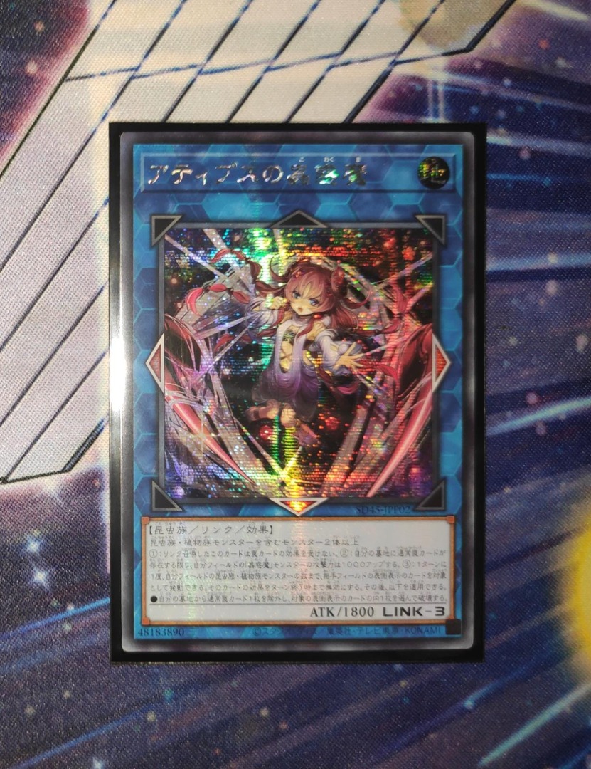 [ScR] Traptrix Atypus Yugioh, Hobbies & Toys, Toys & Games on Carousell