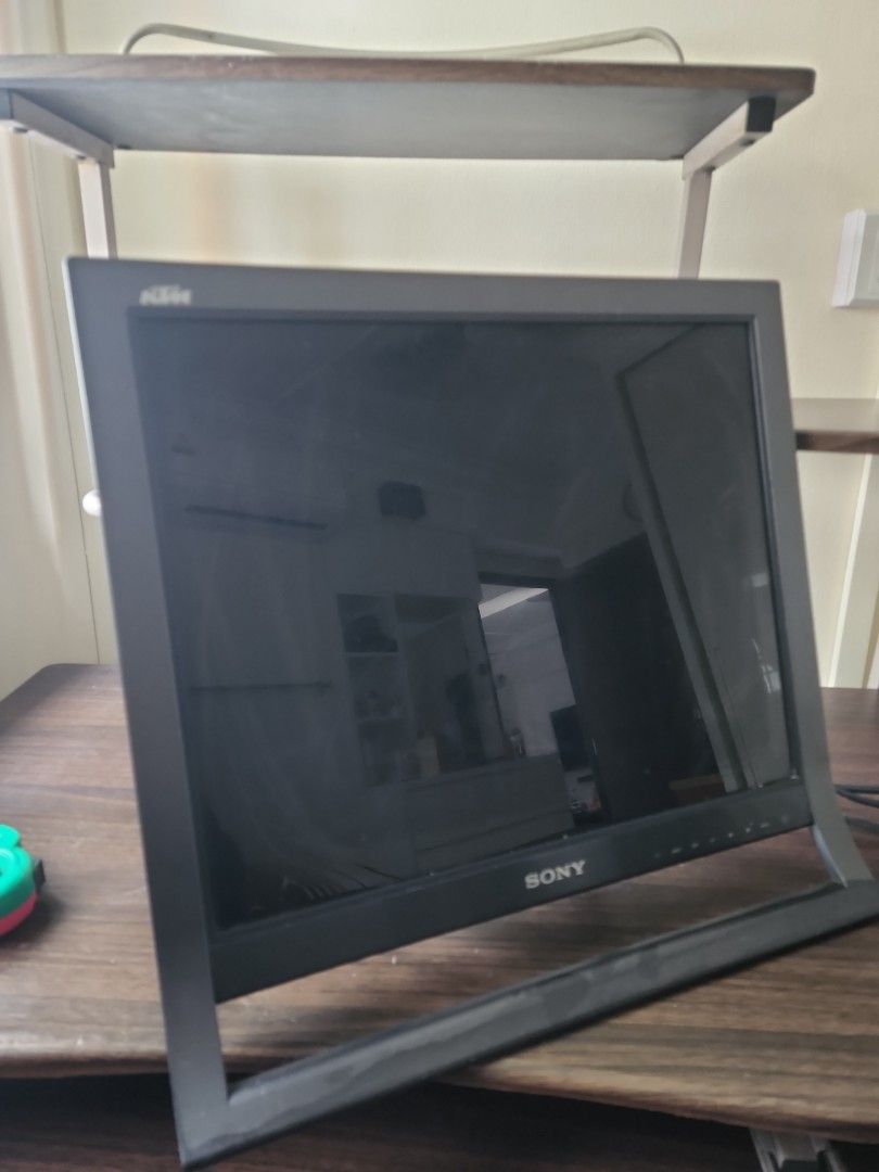 Sony 19inch monitor screen, Computers & Tech, Parts & Accessories ...