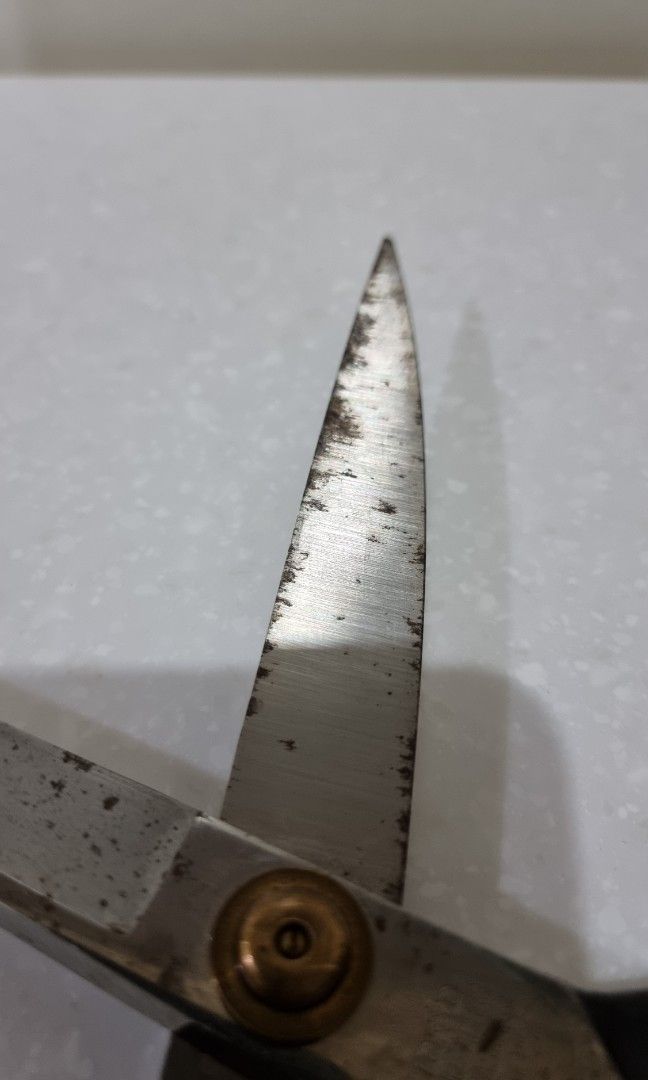 Tokyo Shozaburo Tobasami Tailor's Dressmaker Scissors Shears, Furniture ...