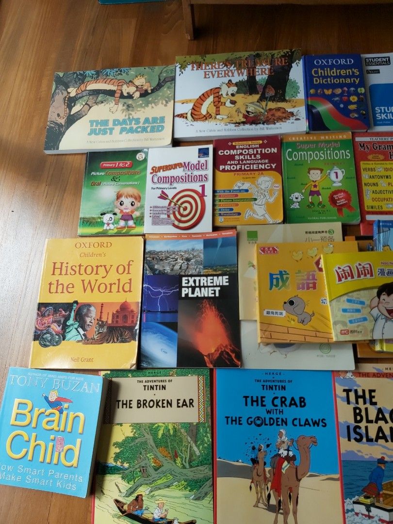 VARIOUS CHILDREN KIDS BOOKS BUNDLE SET, Hobbies & Toys, Books ...
