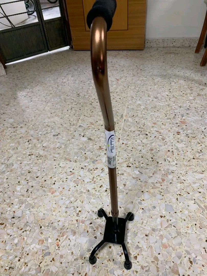 Walking stick, Health & Nutrition, Assistive & Rehabilatory Aids ...