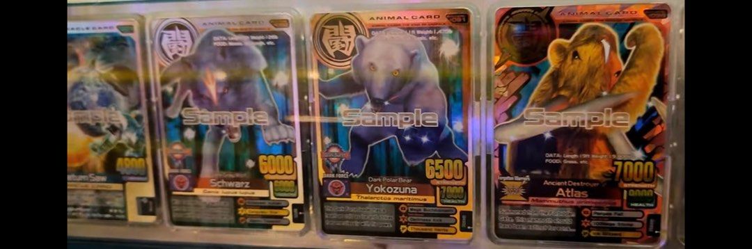 BUY Sample animal kaiser cards, Hobbies & Toys, Toys & Games on Carousell