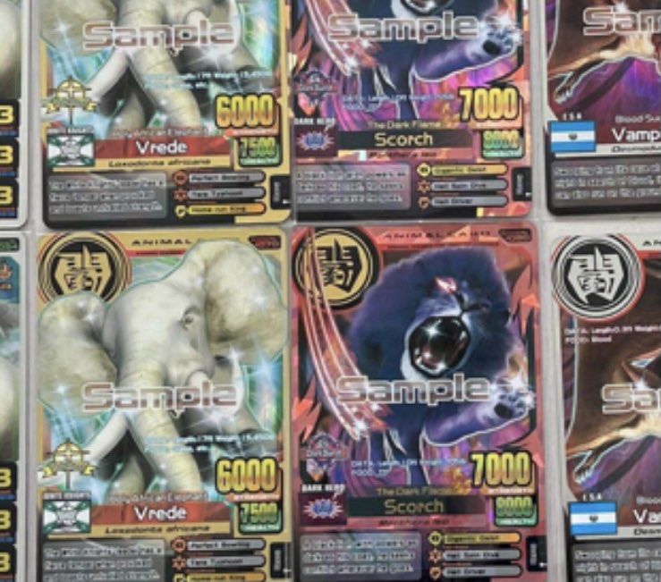 BUY Sample animal kaiser cards, Hobbies & Toys, Toys & Games on Carousell