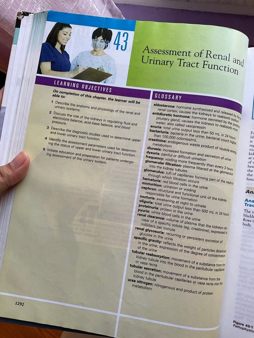 INTERNATIONAL EDITION Brunners And Suddarth Medical Surgical book 12th ...