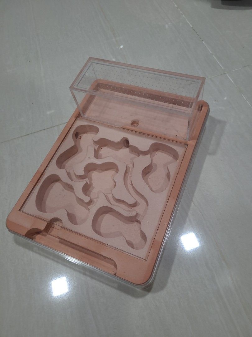 Formicarium, Pet Supplies, Homes & Other Pet Accessories on Carousell