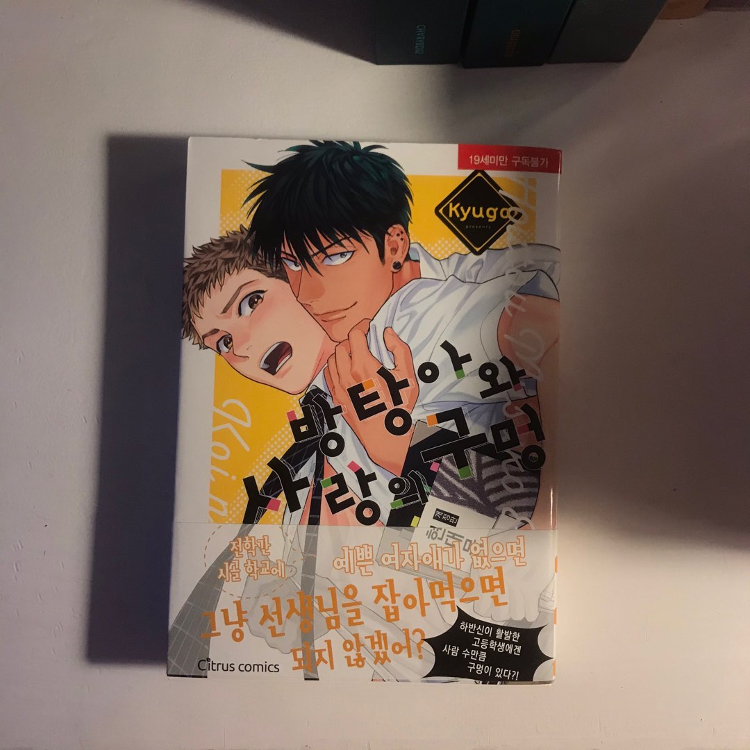 Houtou Musuko To Koi No Ana [Korean], Hobbies & Toys, Books & Magazines ...