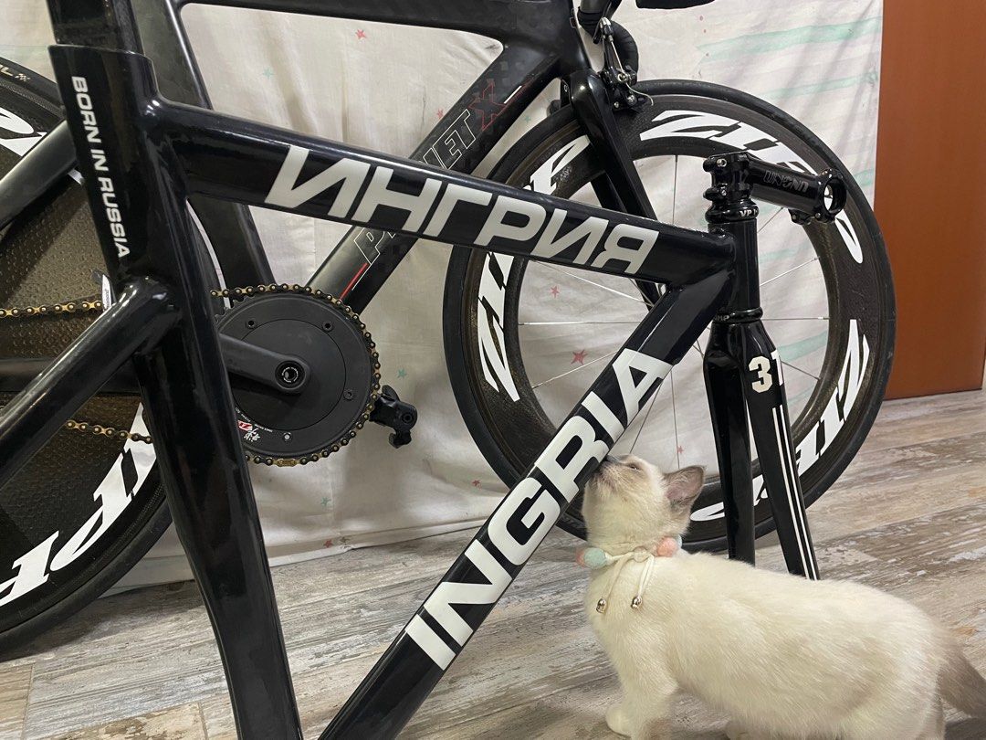 Ingria Airpusher frameset for track / fixie, Sports Equipment, Bicycles ...