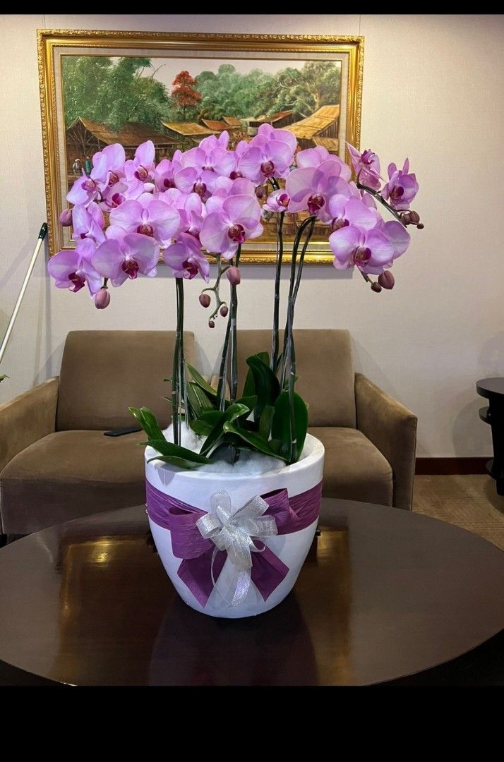 Jual Bunga Rangkaian Anggrek Bulan Area Kota Bandung, Desain ...