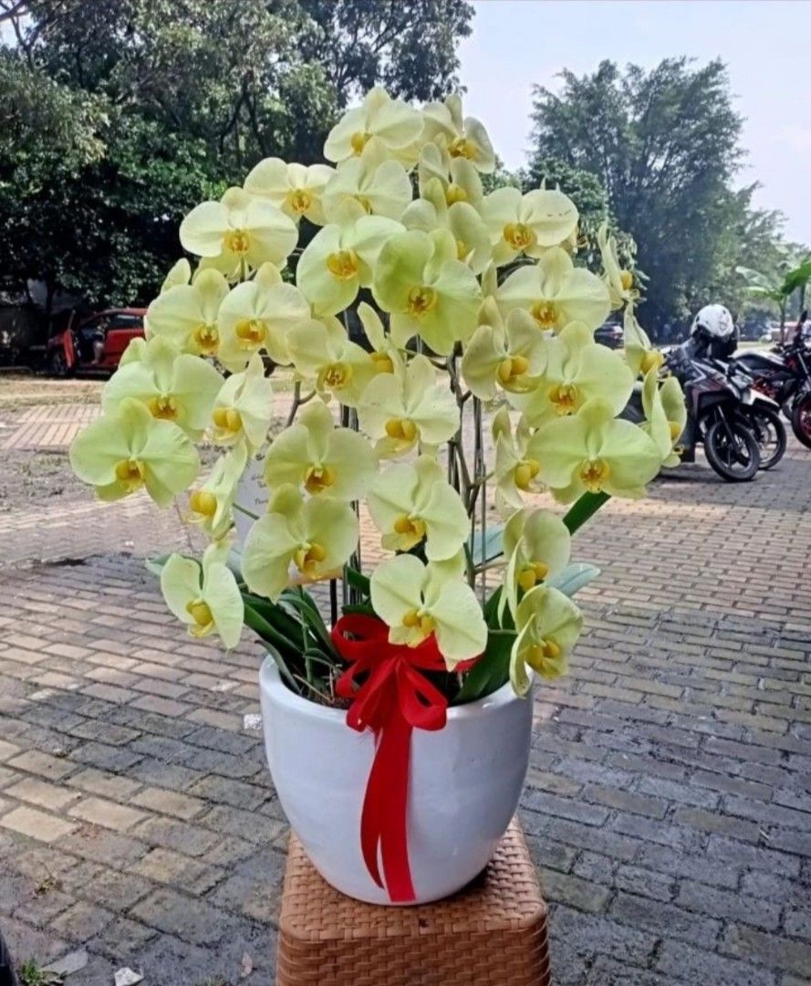 Jual Bunga Rangkaian Anggrek Bulan Area Kota Bandung, Design & Craft ...