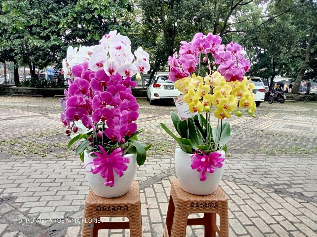 Jual Bunga Rangkaian Anggrek Bulan Area Kota Bandung, Design & Craft ...