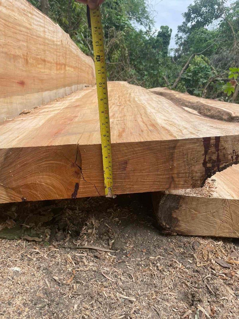 Narra wood slabs, Commercial & Industrial, Construction Tools ...