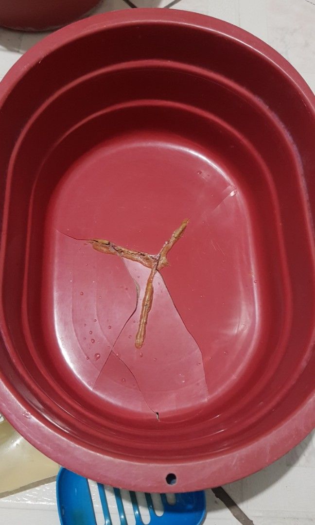 Plastic Pail, Batya, Tabo, Toiletries Basket, Soap Dish and Bench ...