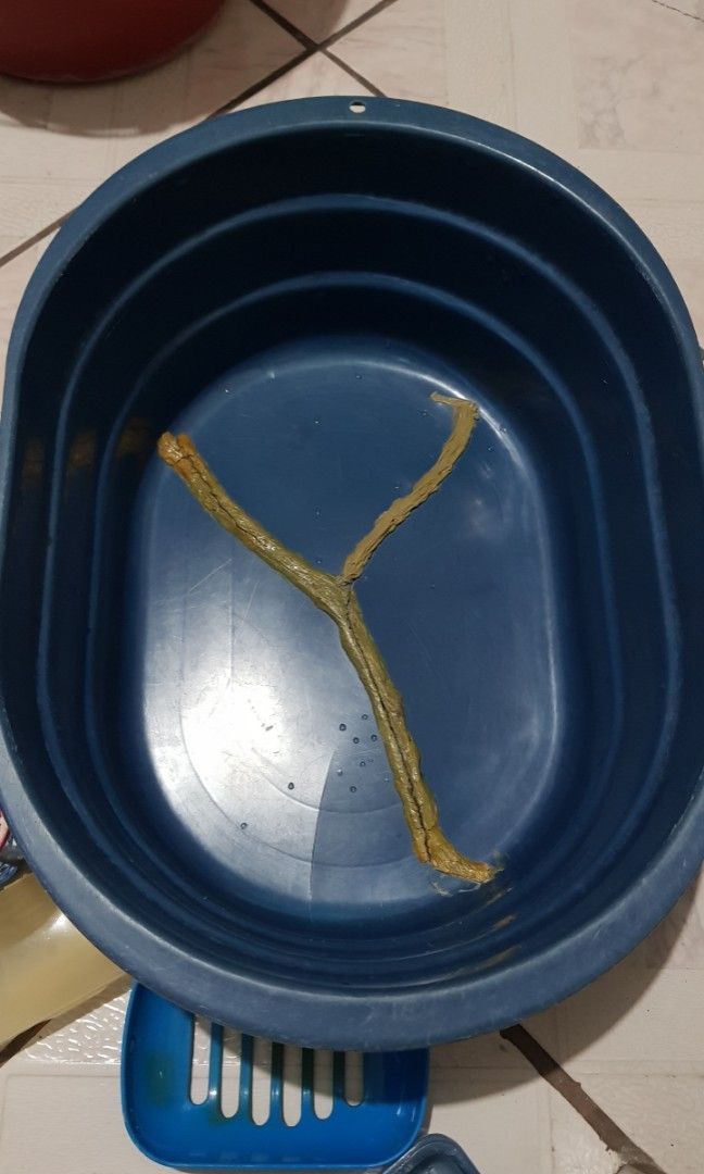 Plastic Pail, Batya, Tabo, Toiletries Basket, Soap Dish and Bench ...