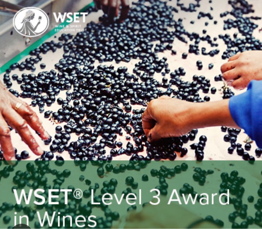 WSET mock exam by chapter (I passed with distinction), 其他, 其他 - Carousell