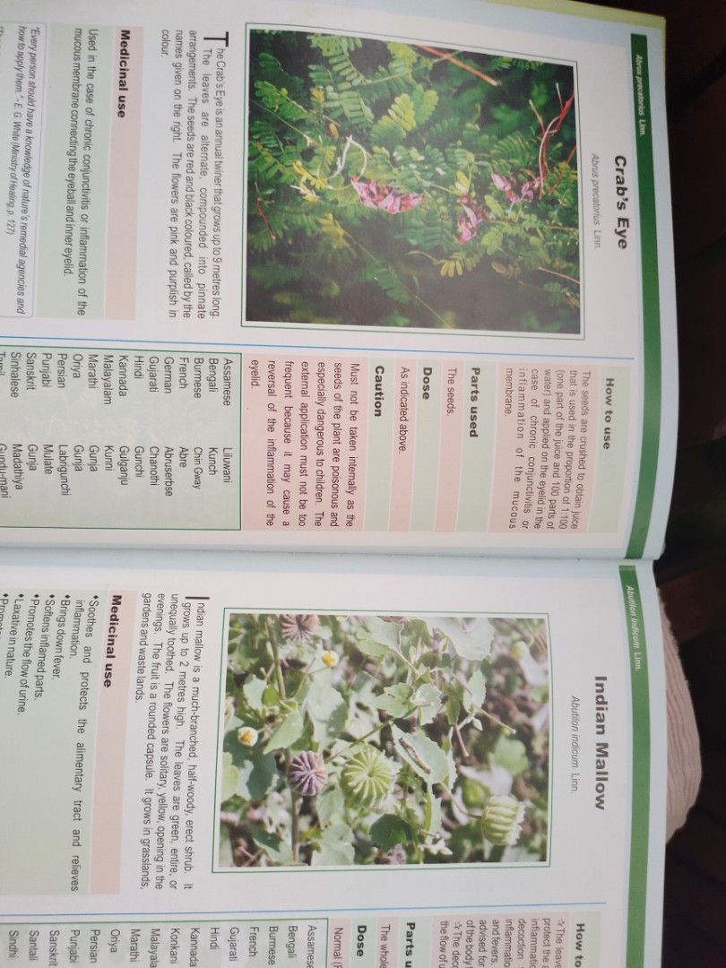 Amazing Healing Plants (Herbal books) Volume 1, Hobbies & Toys, Books ...