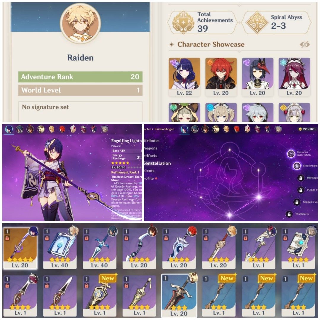 AR20 C2 Raiden w/ Sig Engulfing Lightning Genshin Account, Video Gaming, Video Games, Others on ...