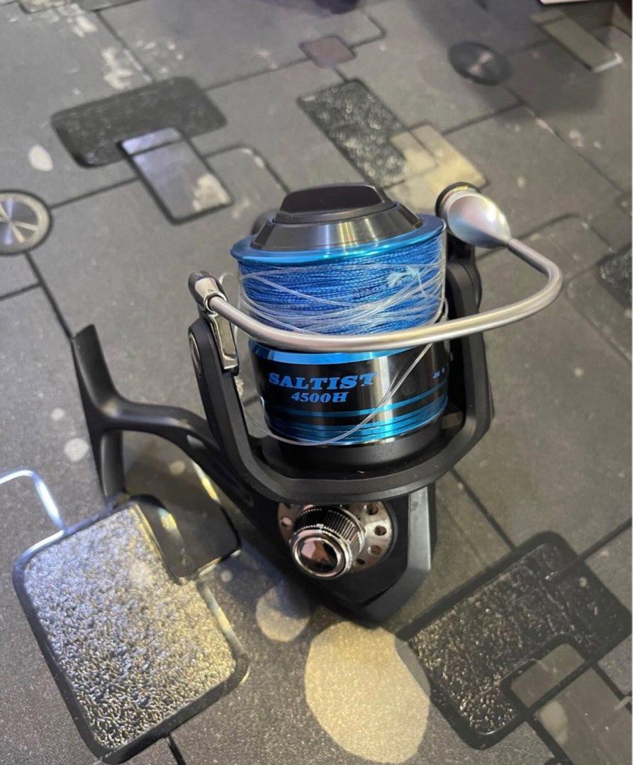 Daiwa Salitsh 4500H, Sports Equipment, Fishing on Carousell