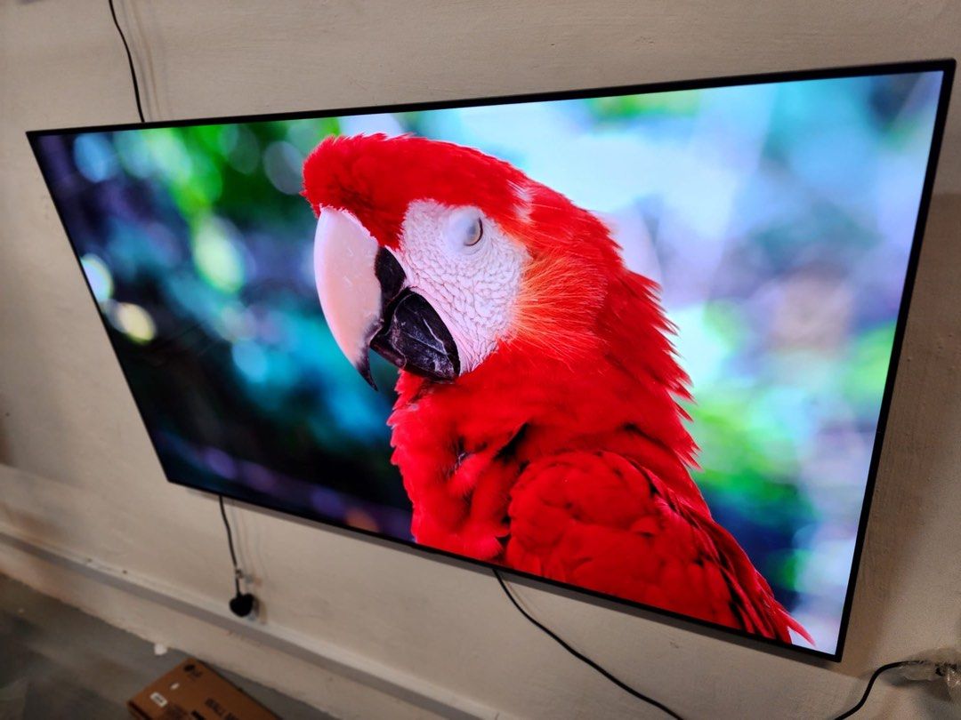 LG Gallery 55” OLED 4K TV OLED55G1PTA, TV & Home Appliances, TV ...