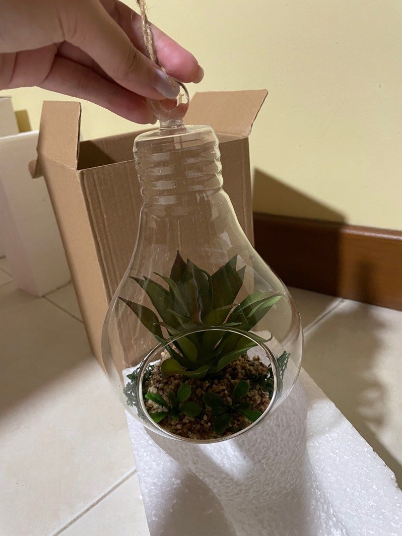 Light bulb glass bottle (fake plant), Furniture & Home Living ...