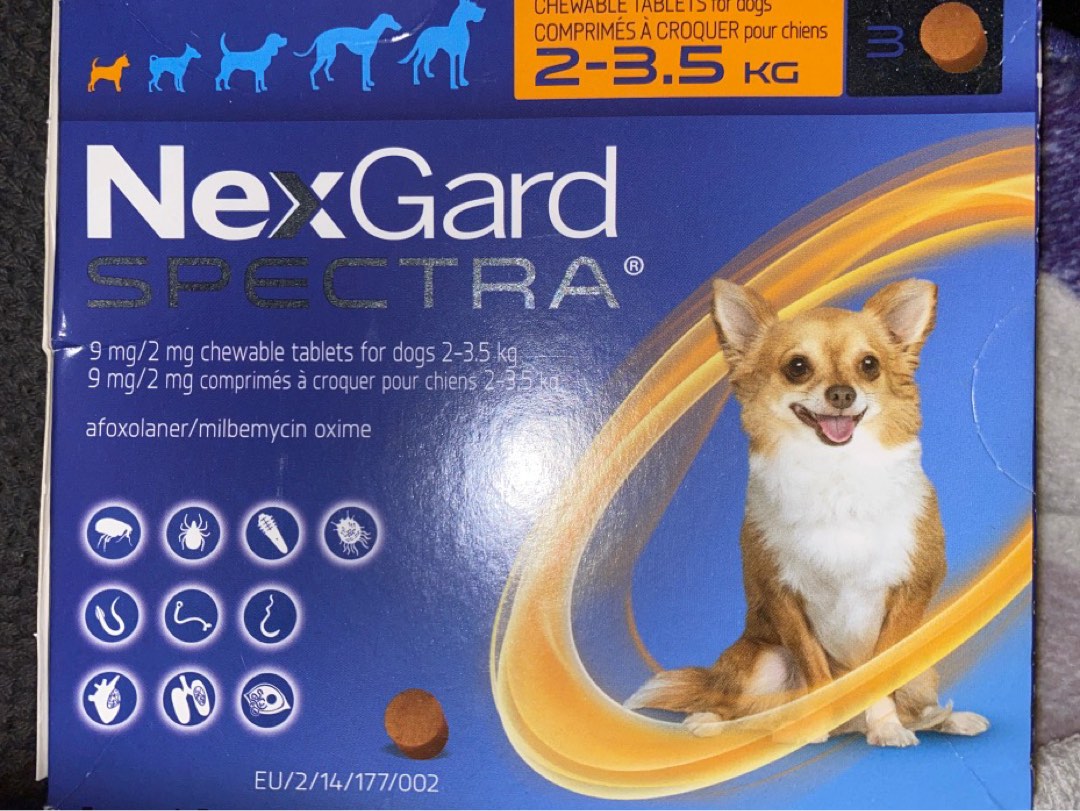 NexGard Spectra Chewable Tablets for Dogs 2-3.5kg, Pet Supplies, Health ...