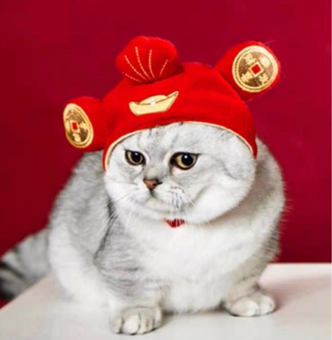 Pet CNY hat! Chinese New Year Cosplay Costumes - Anabul Dog Cats ...