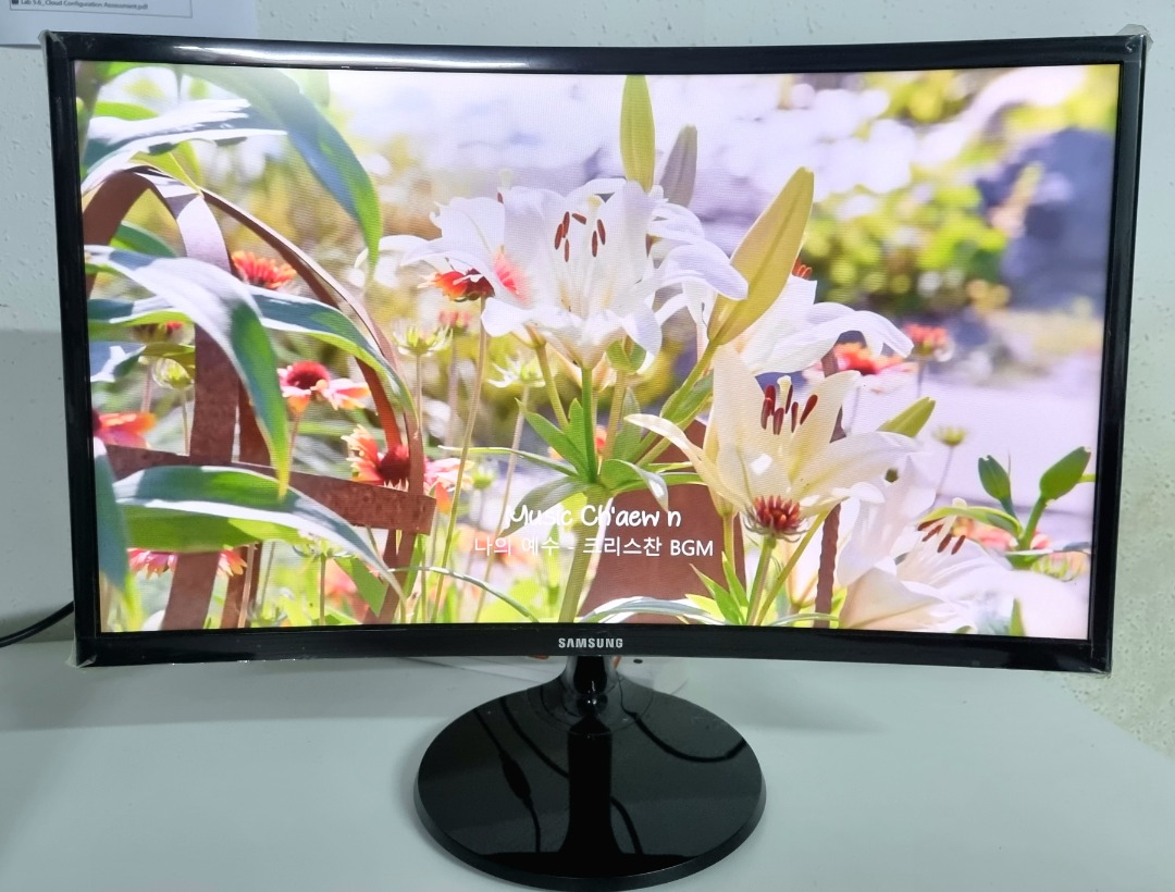 Samsung 24 inch Curved Monitor (1920x1080) + HDMI Cable | LIKE NEW ...